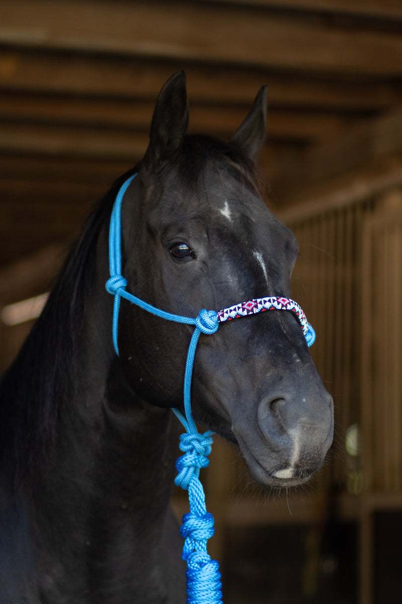 Professionals Choice Beaded Rope Halters – Josey Western Store