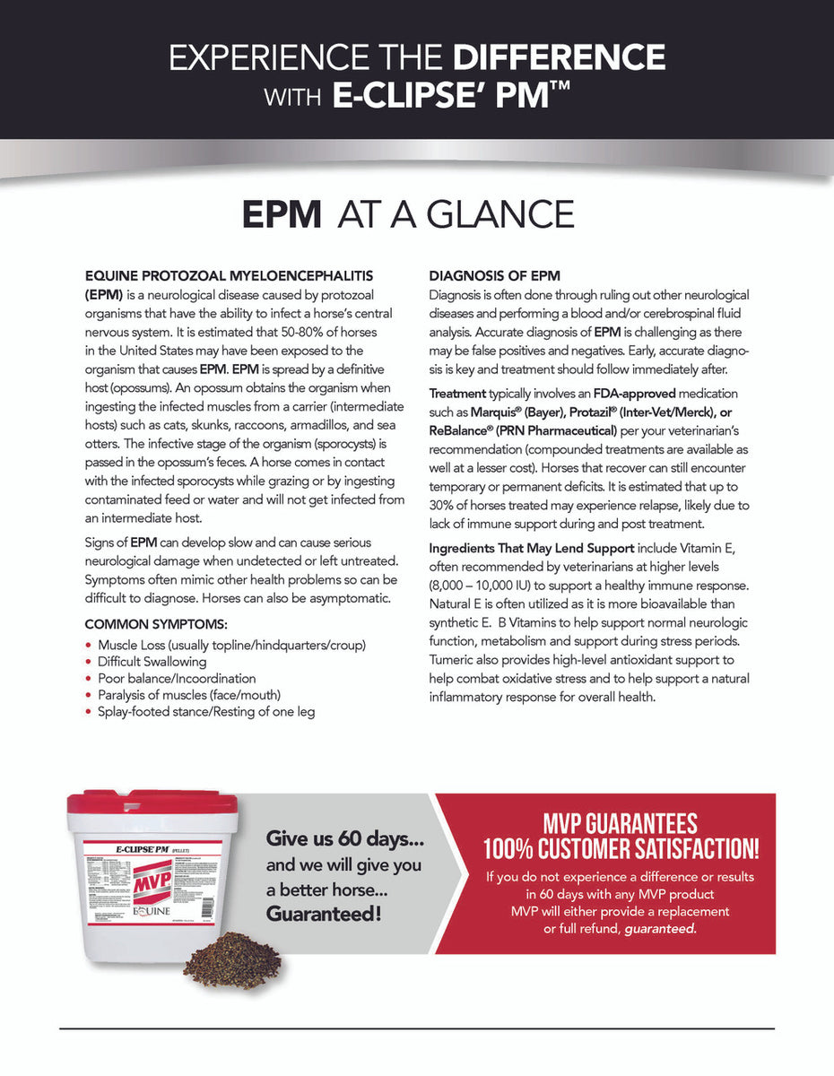 MVP Eclipse 'PM Pellets – Josey Western Store