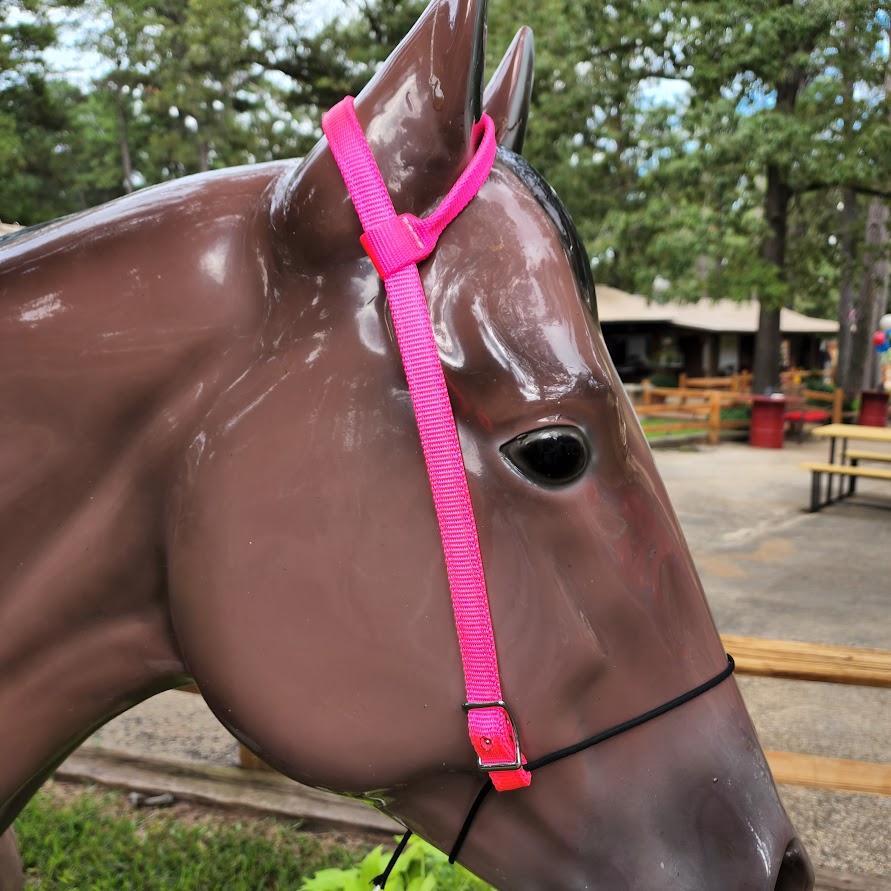 Haydock Nylon One Eared Headstall – Josey Western Store